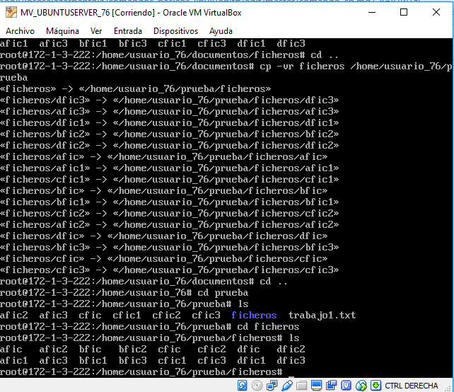 Comando cp · Comandos Basicos Linux