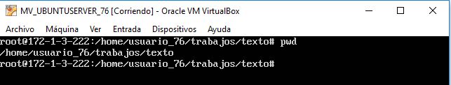 Comando pwd · Comandos Basicos Linux