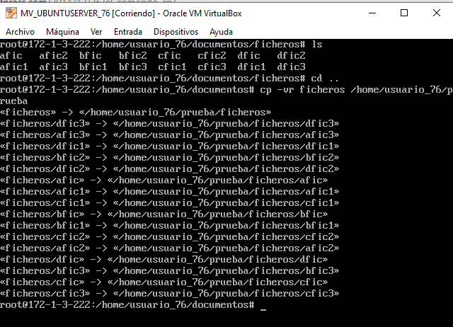 Comando cp · Comandos Basicos Linux