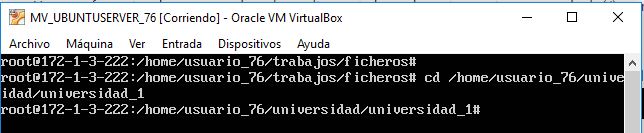 Comando cd · Comandos Basicos Linux